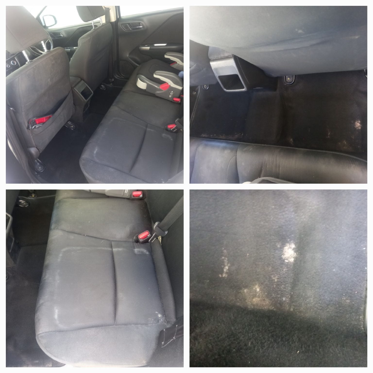 Home - Detail My Car